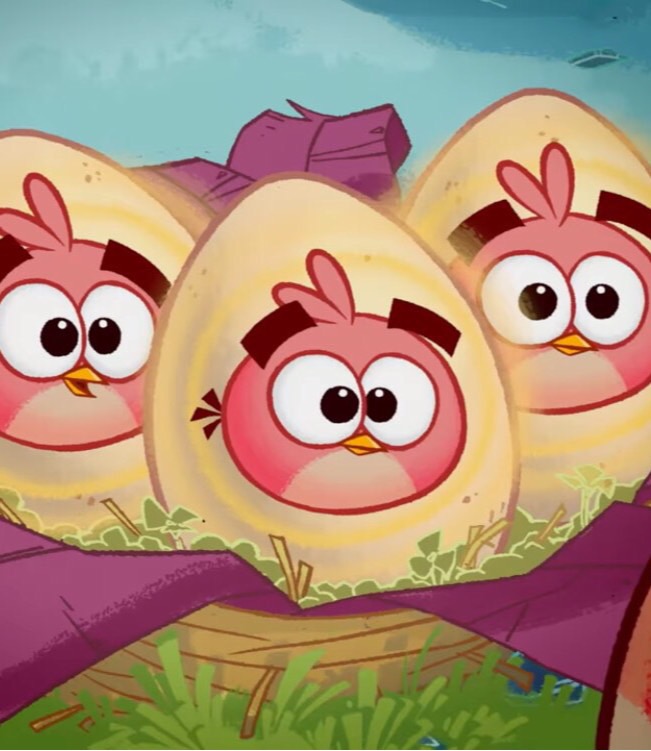 All Angry birds toons characters Flashcards | Memorang