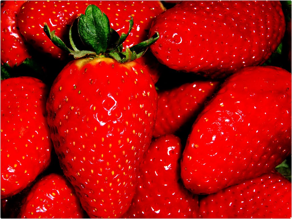 las 56 frutas del mundo Flashcards | Memorang