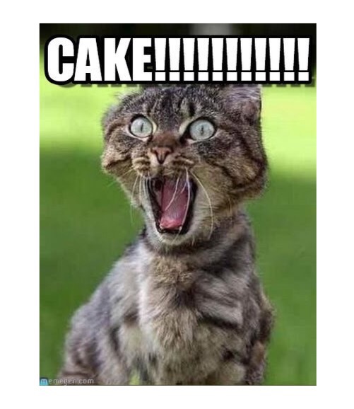 Memes Flashcards | Memorang