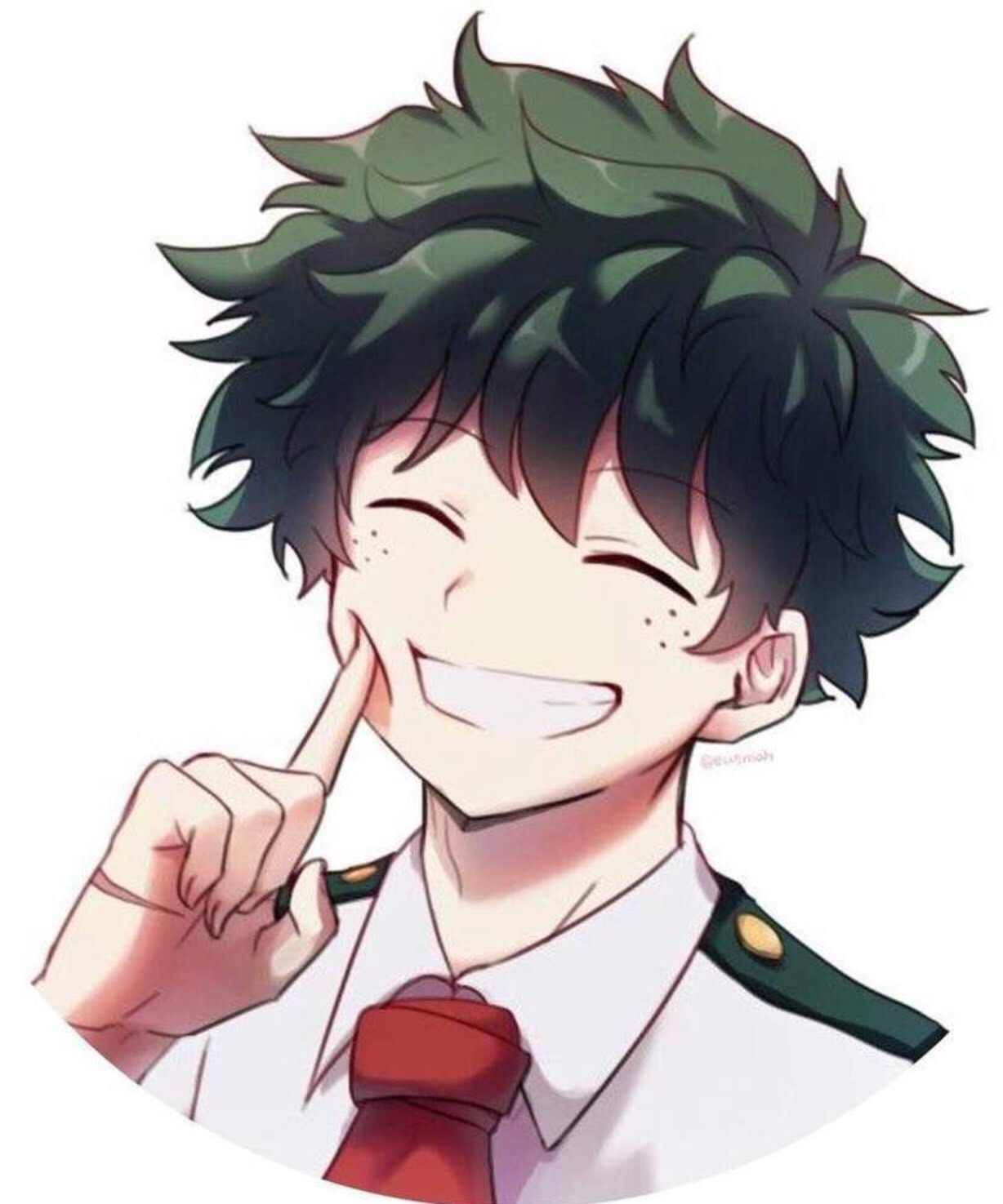 MHA/BHNA Character Quiz Flashcards | Memorang