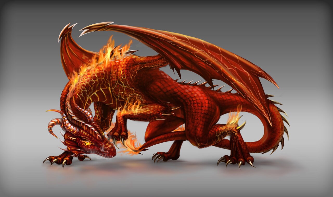 Types of dragons Flashcards | Memorang