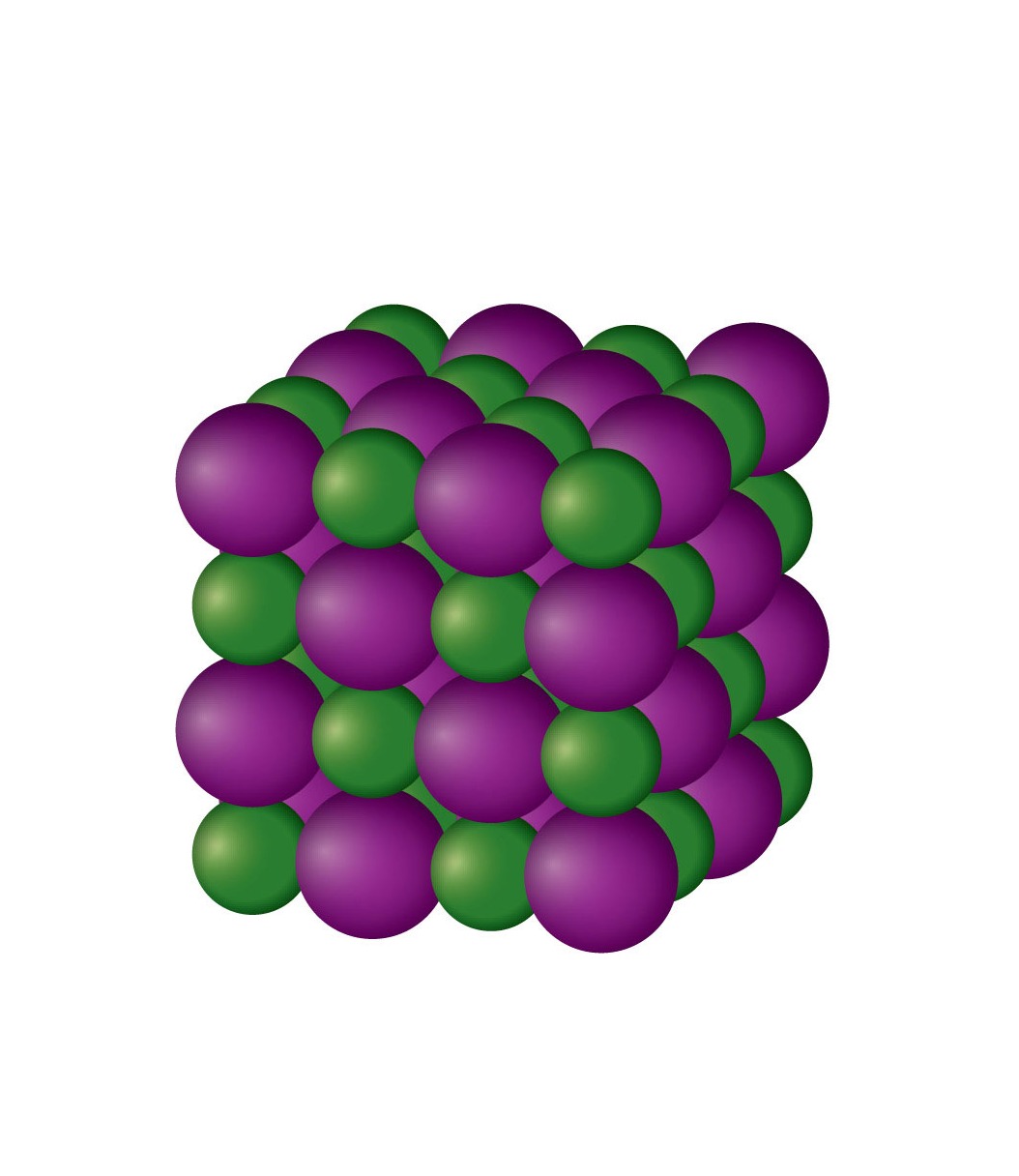 chapter 2 Flashcards | Memorang