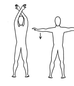 Stretch Flashcards | Memorang