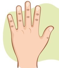 Parts of the body Flashcards | Memorang