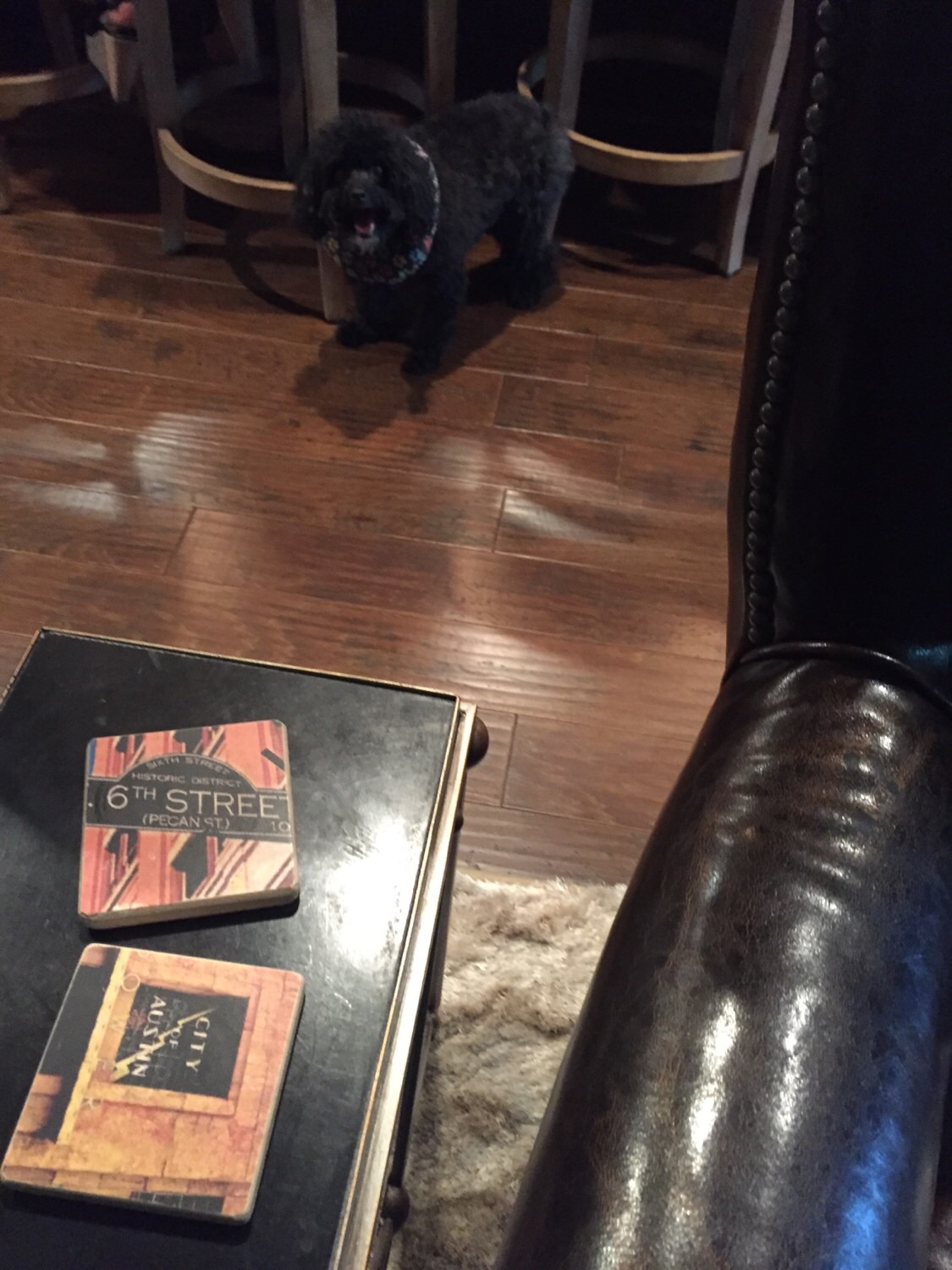 I spy something dry Flashcards | Memorang