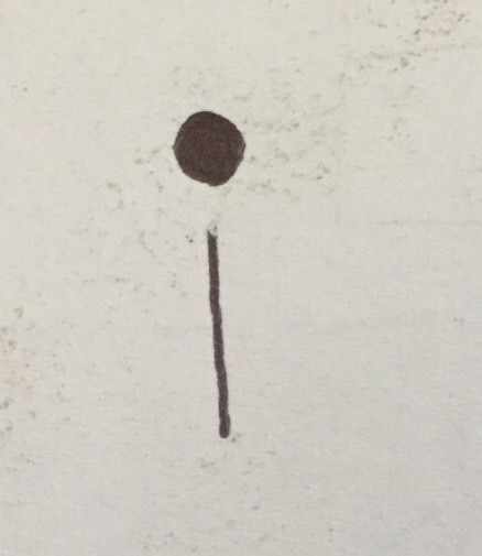 4. Sam’s Shorthand Alphabet Flashcards | Memorang