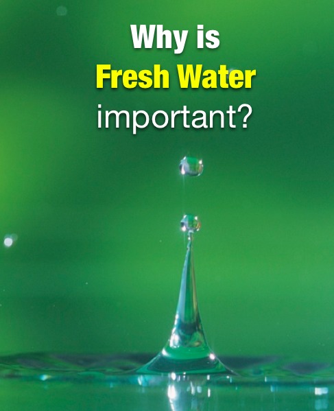 Protecting Guam's Fresh Water Flashcards | Memorang