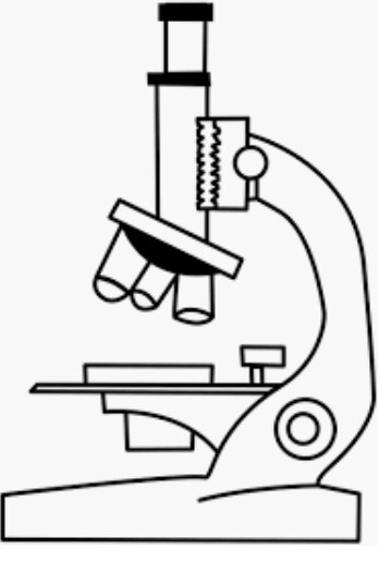 SCIENCE: cells Flashcards | Memorang