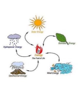 Chapter 3 Lesson 3 Flashcards | Memorang