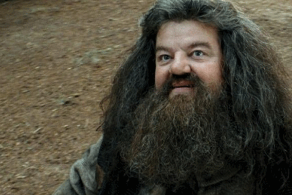 Harry Potter Flashcards | Memorang