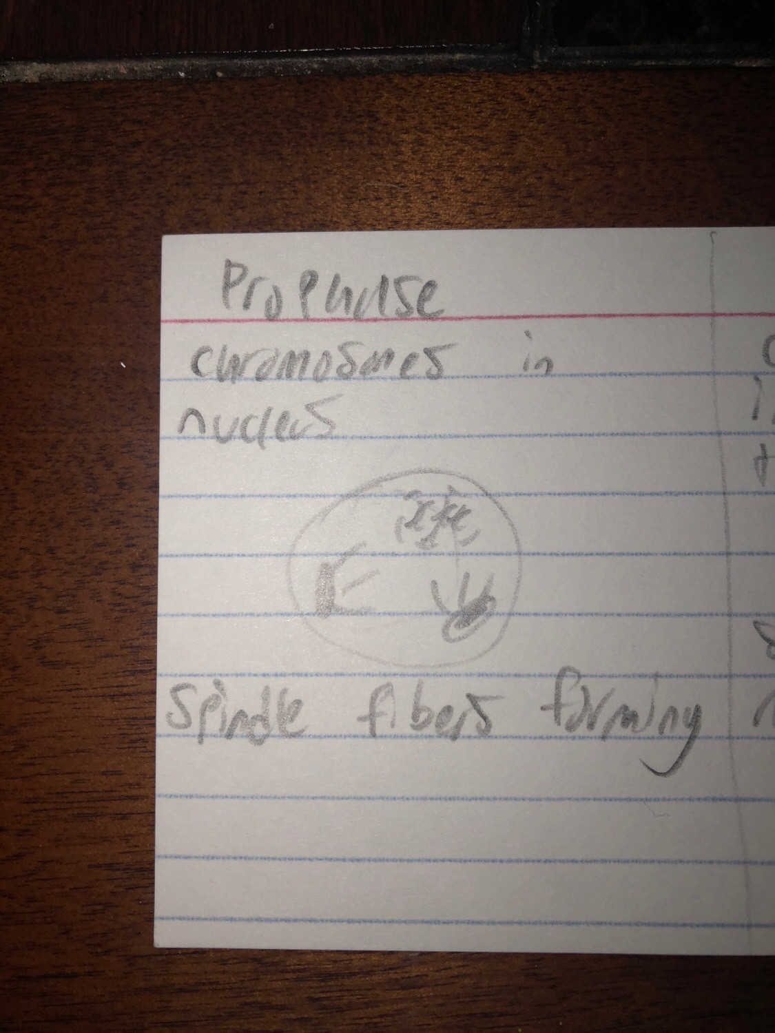 bio unit 3 (chapter 5) Flashcards | Memorang