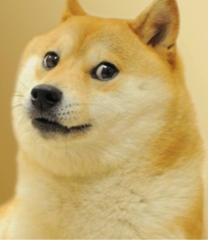 Memes Flashcards | Memorang