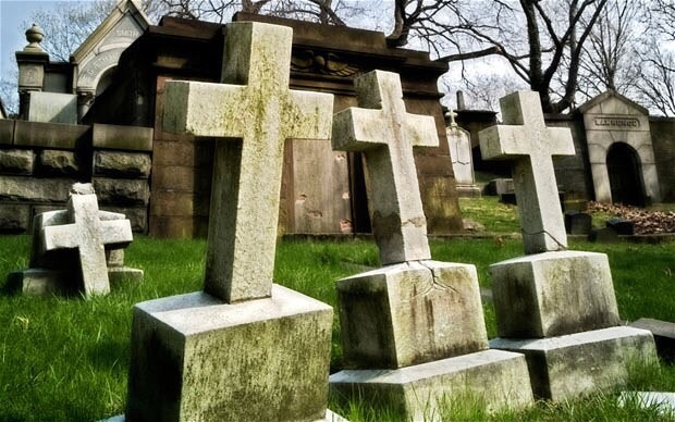 Global Studies- Chapter 3 Flashcards | Memorang