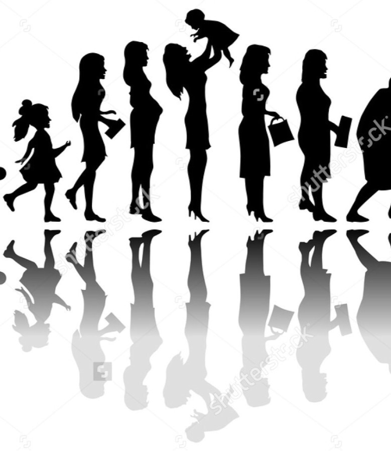 Global studies study cards Flashcards | Memorang