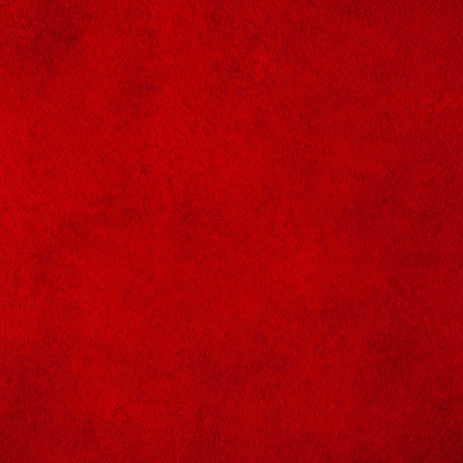 Easy Flashcards | Memorang