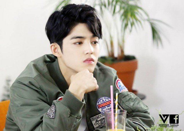 SEVENTEEN members Flashcards | Memorang