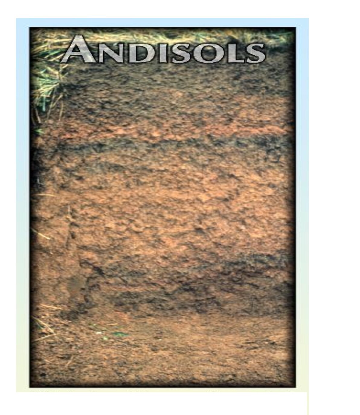 Soil types Flashcards | Memorang