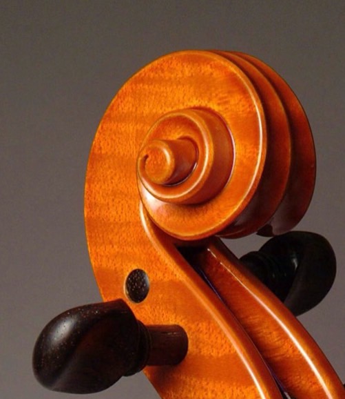 Parts of a violin, chello, and bass Flashcards | Memorang