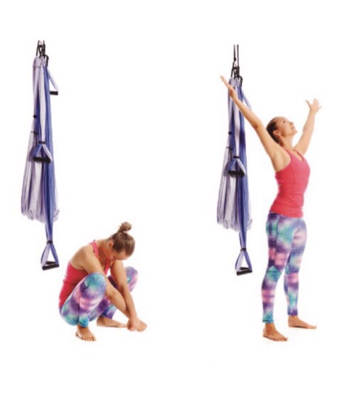 Yoga Trapeze Poses Flashcards | Memorang