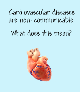 Heart disease Flashcards | Memorang