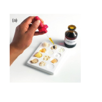 Food tests Flashcards | Memorang