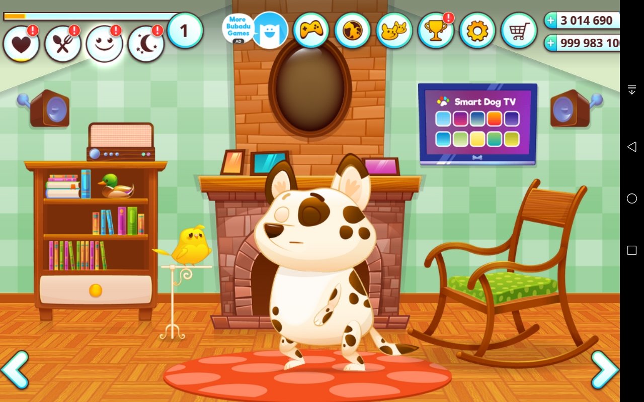 Duddu Flashcards | Memorang