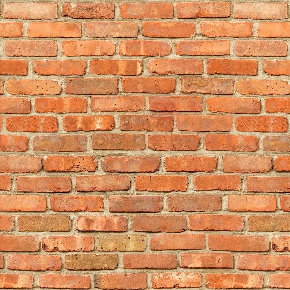 Wall Flashcards | Memorang