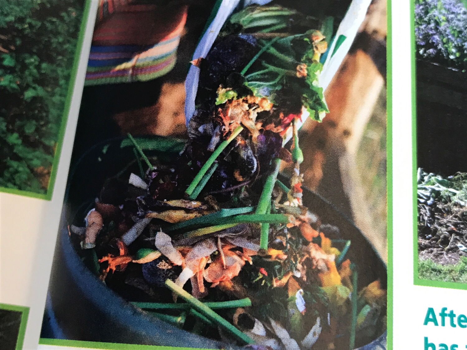 Soil, Rocks and Landforms Flashcards | Memorang