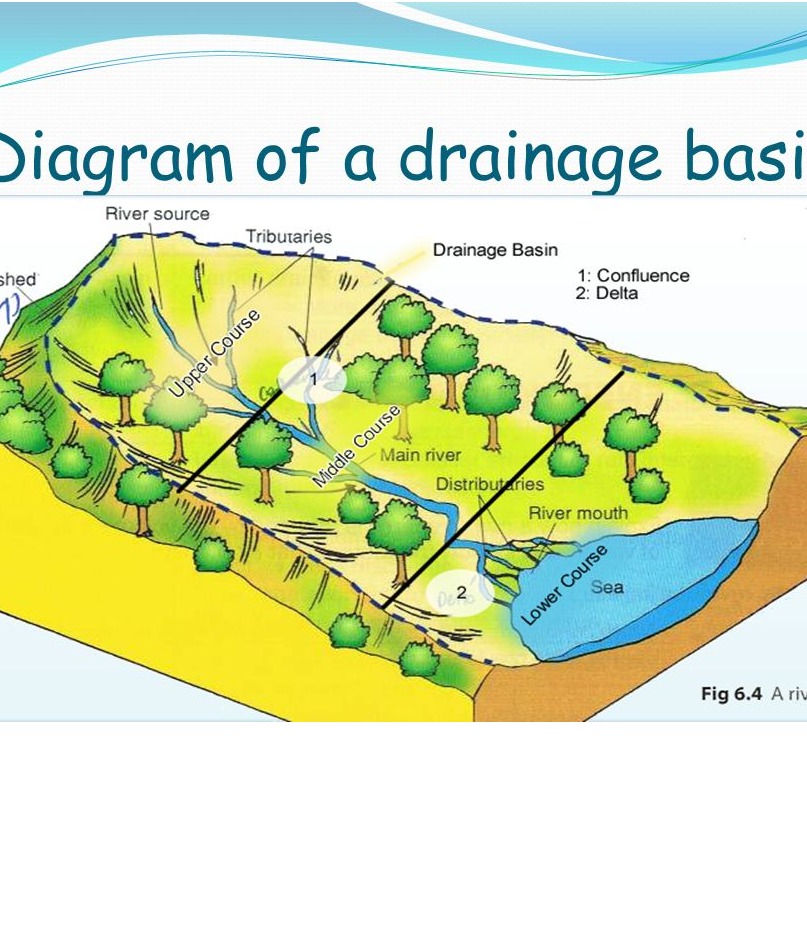 River drainage patterns Flashcards | Memorang