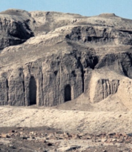 ARTHC 201: Chapter 2 Flashcards | Memorang