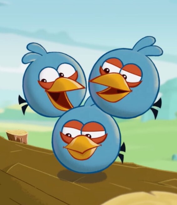 All Angry birds toons characters Flashcards | Memorang