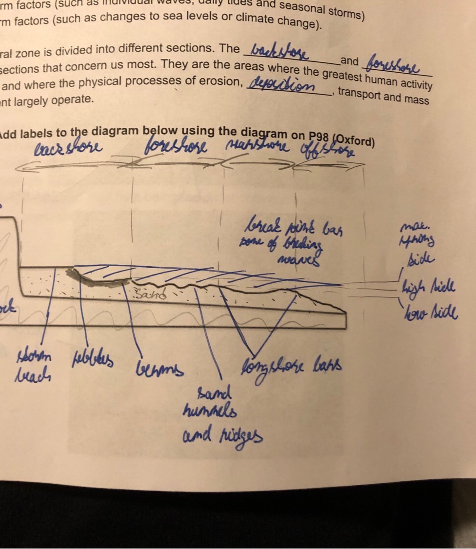Geography coasts Flashcards | Memorang