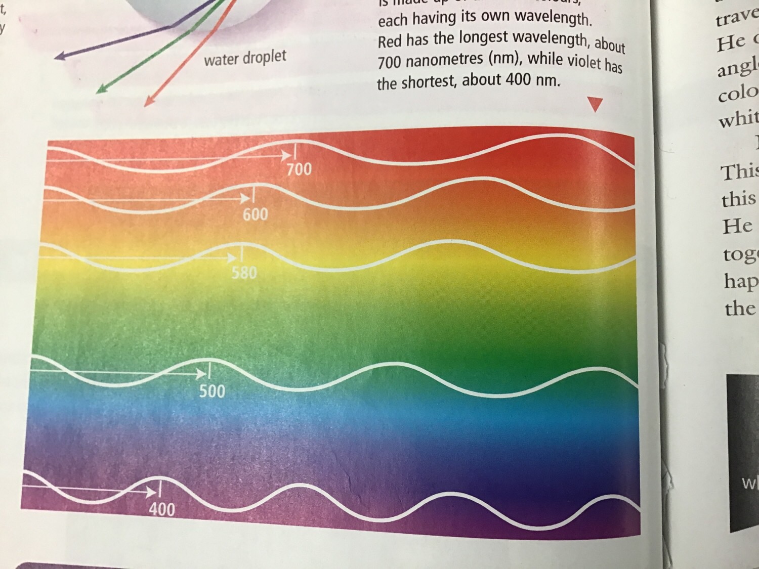 Science 8 study Flashcards | Memorang