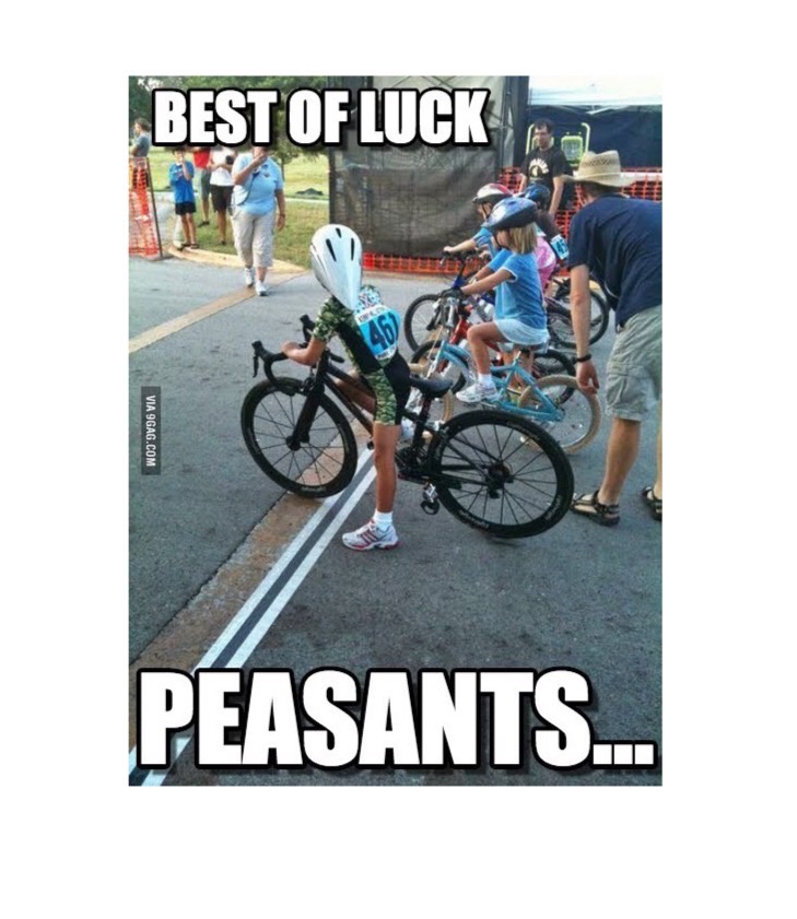 Memes Flashcards | Memorang