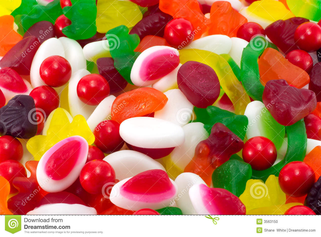 Chase Flashcards | Memorang