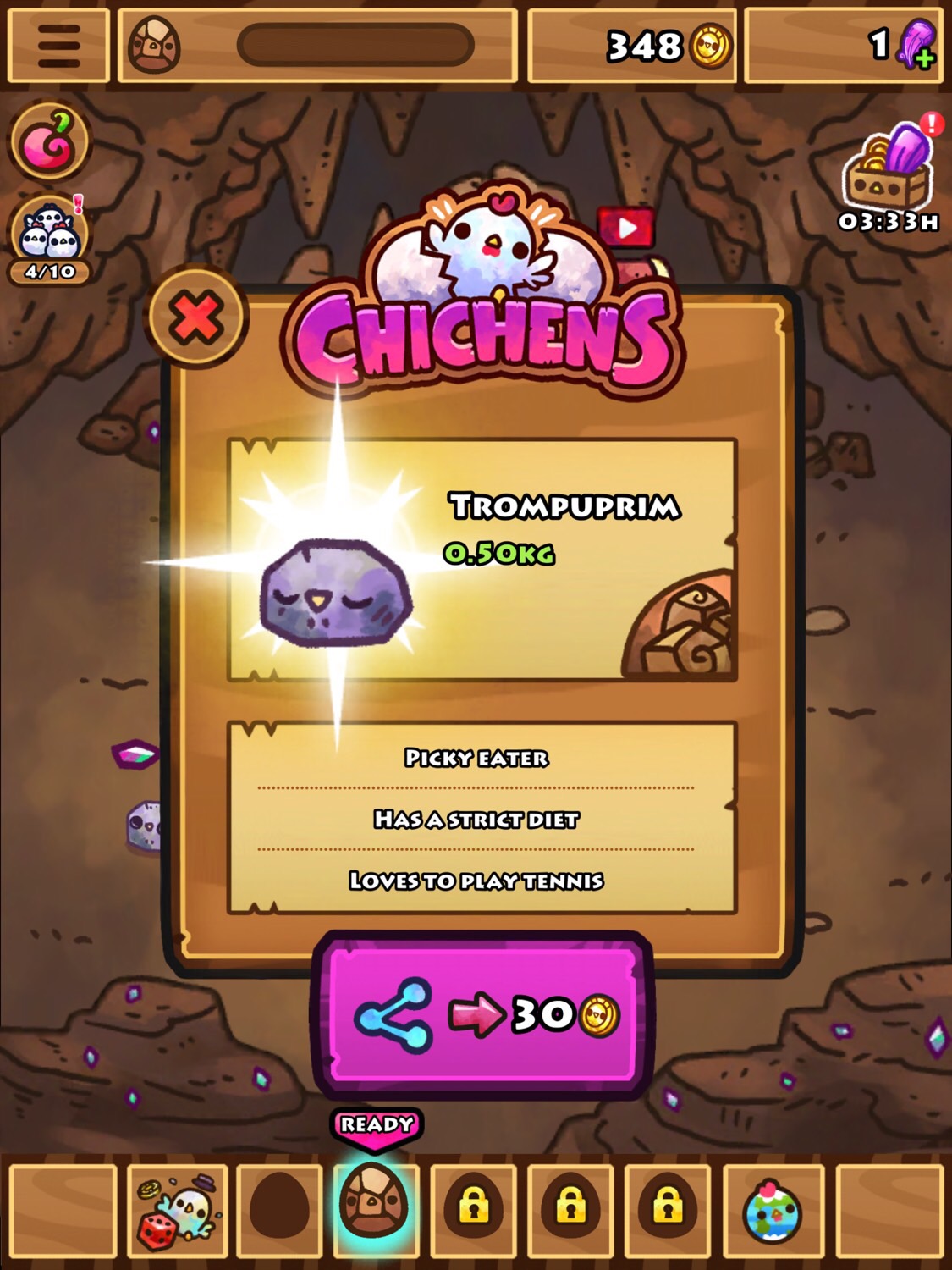 Chichens Flashcards | Memorang