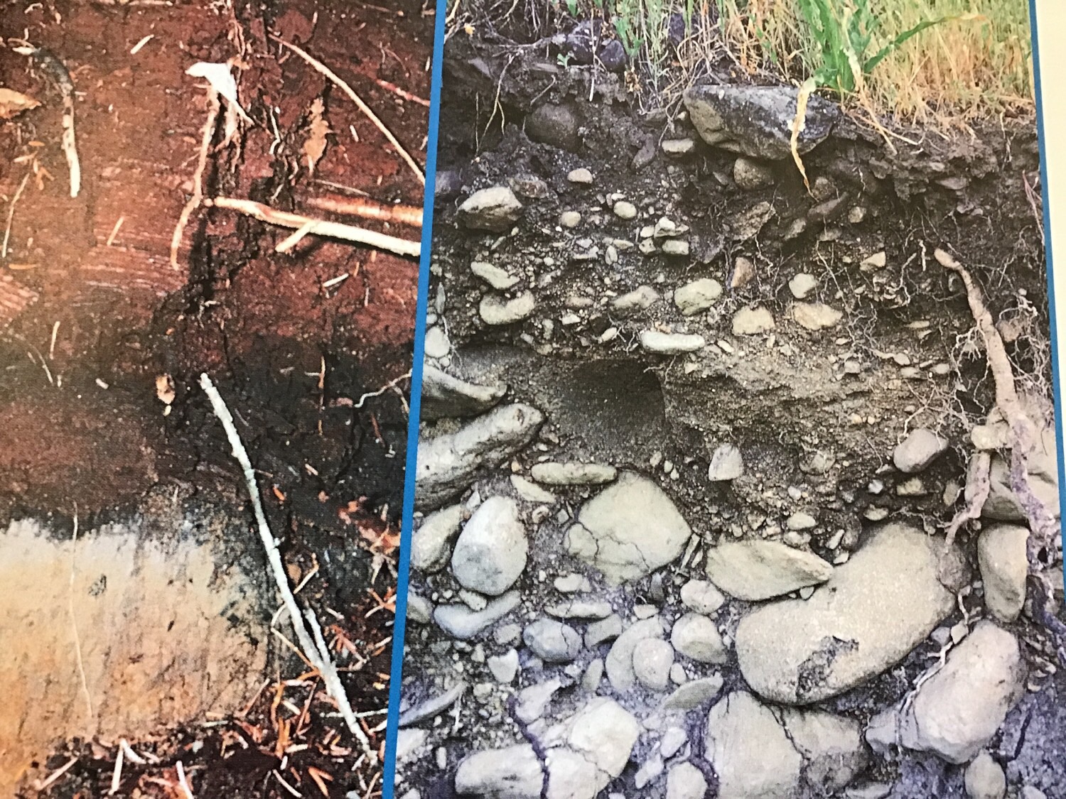 Soil Rocks and Landforms Flashcards | Memorang