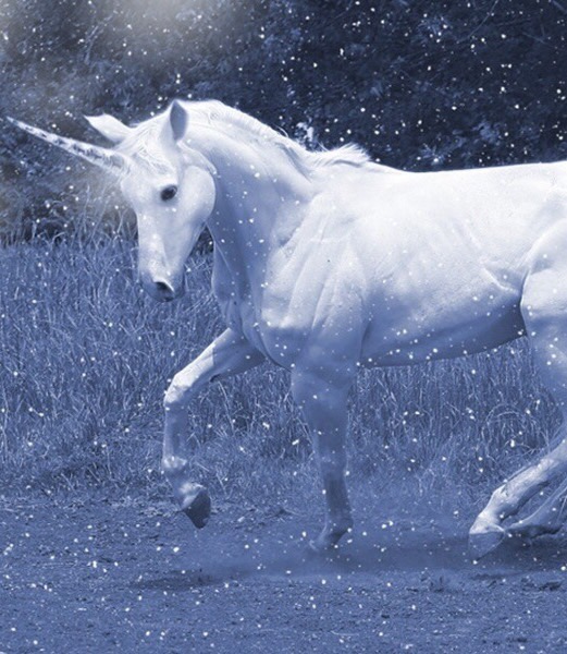 Mystical animals Flashcards | Memorang