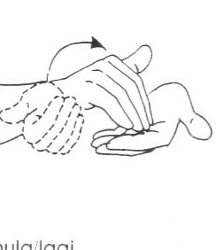 ASL Flashcards | Memorang