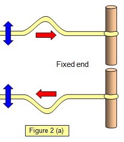 waves behavior Flashcards | Memorang