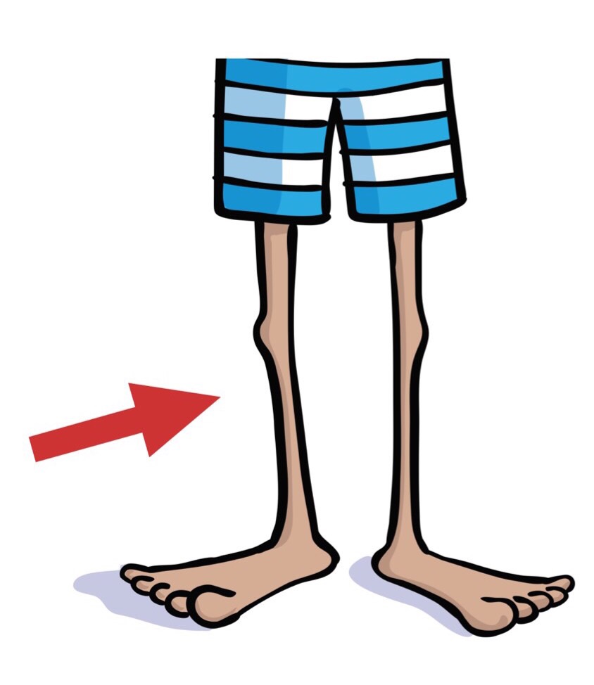 Body Flashcards | Memorang