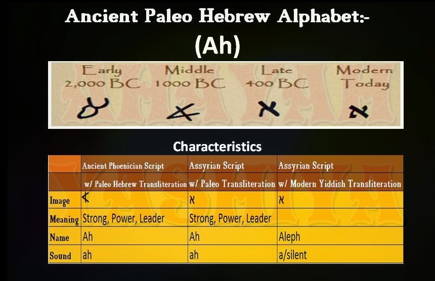 Paleo Hebrew Flashcards | Memorang