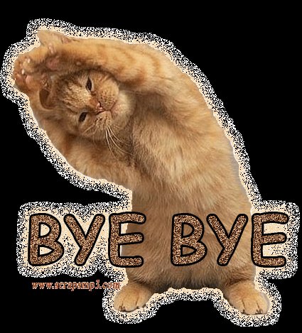 Auténtico 2 Chapter 4B Vocabulary Flashcards | Memorang