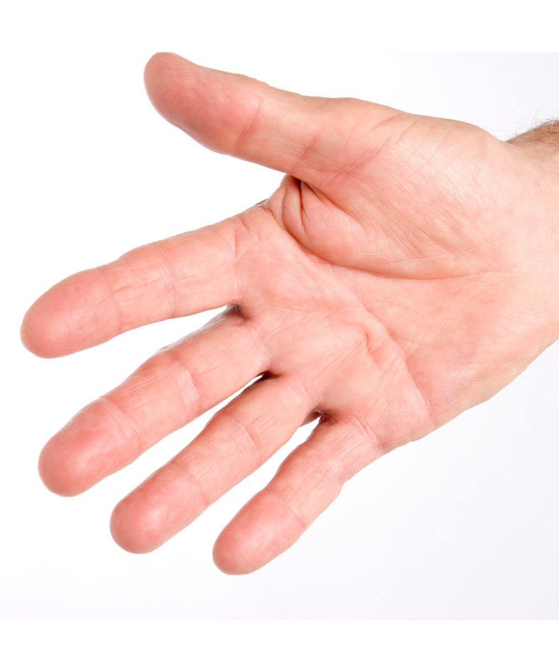 Italiano, parole con DUE sillabe semplici Flashcards | Memorang