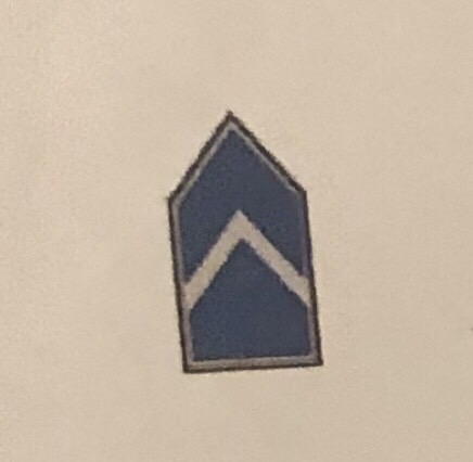 AFJROTC Insignias Flashcards | Memorang