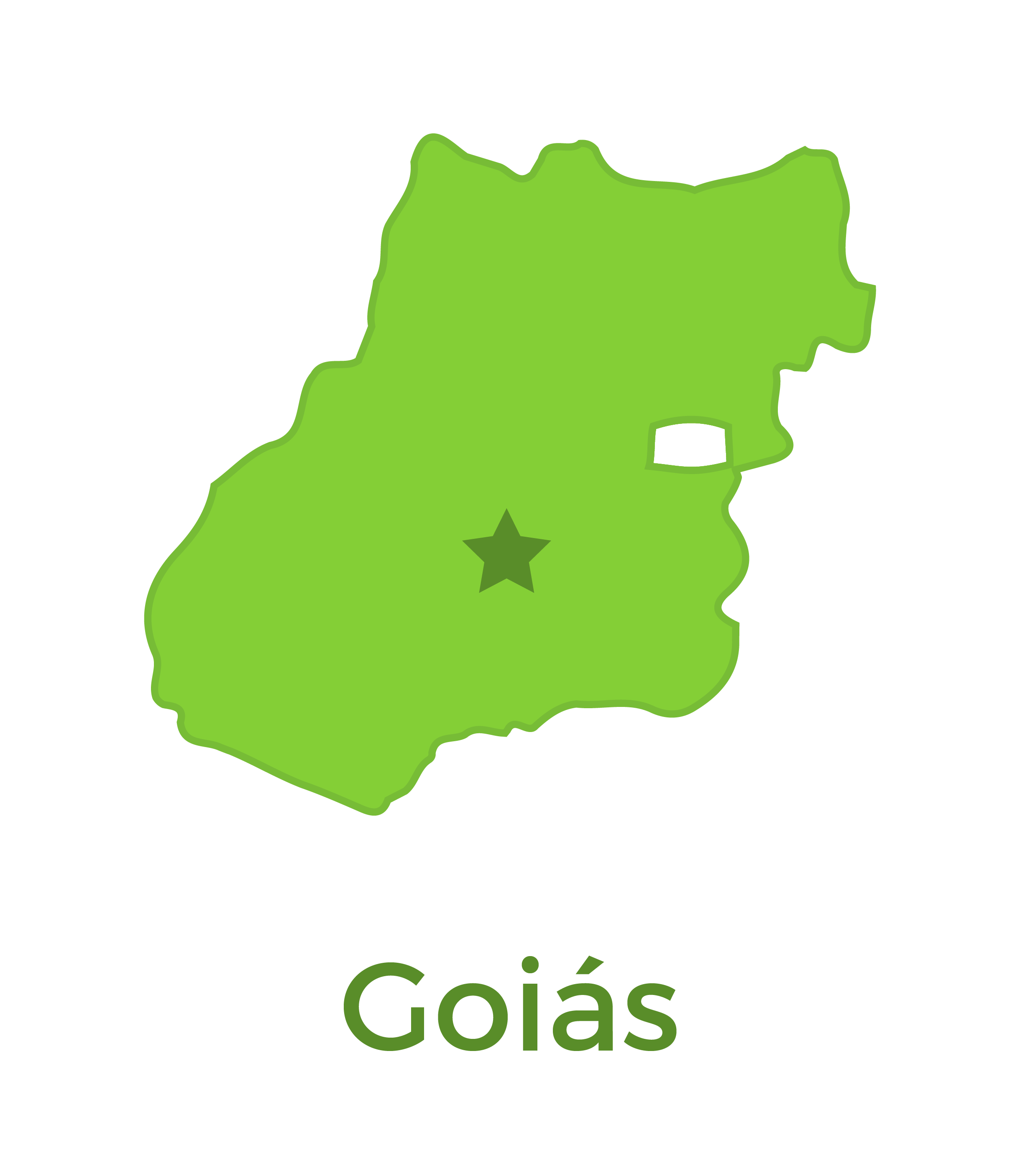 Capitais do Brasil Flashcards | Memorang