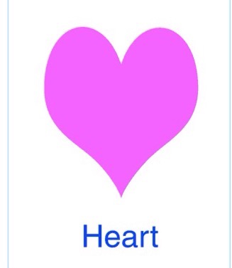 Shapes Flashcards | Memorang