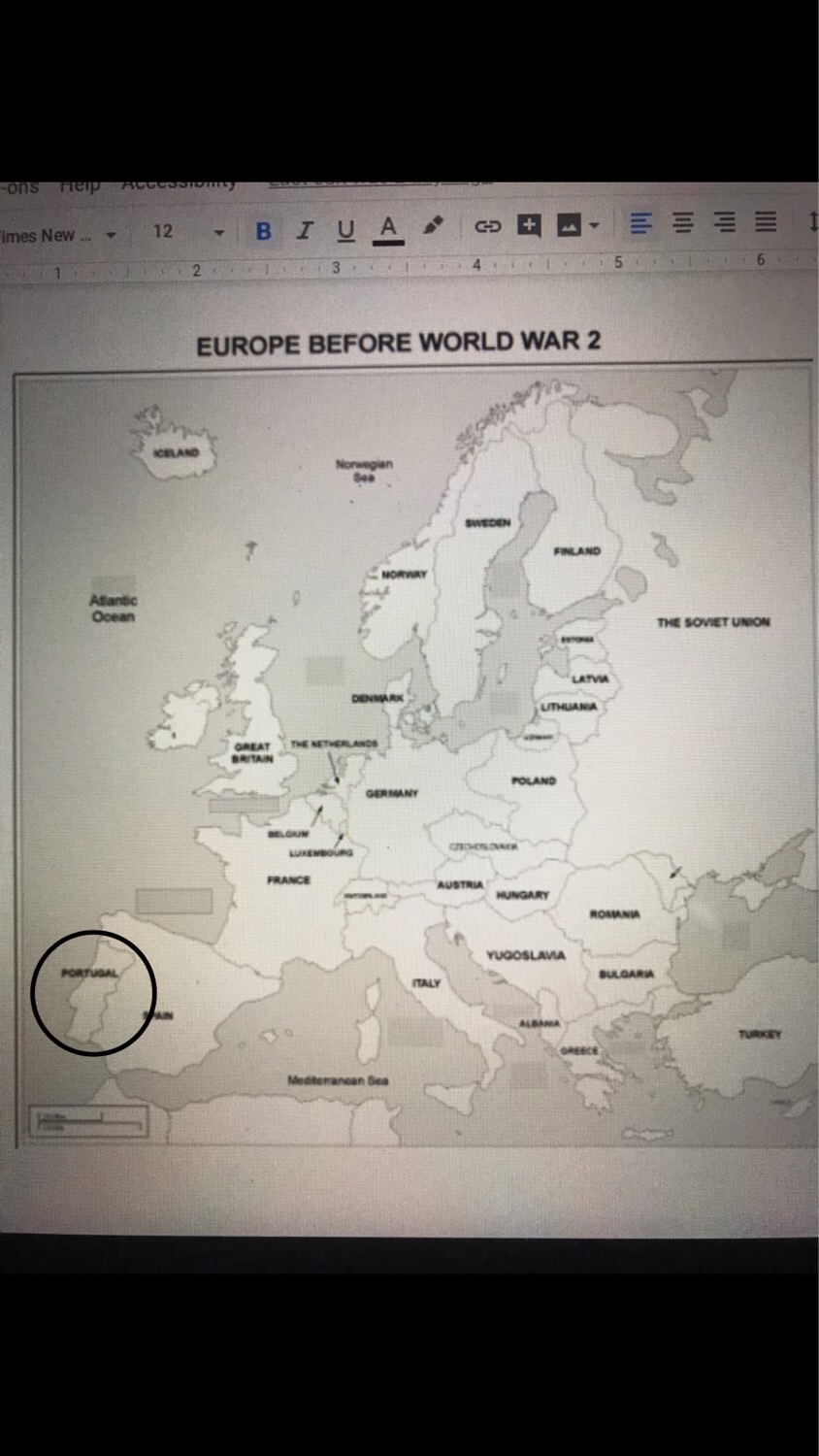 Europe Before World War II Flashcards | Memorang
