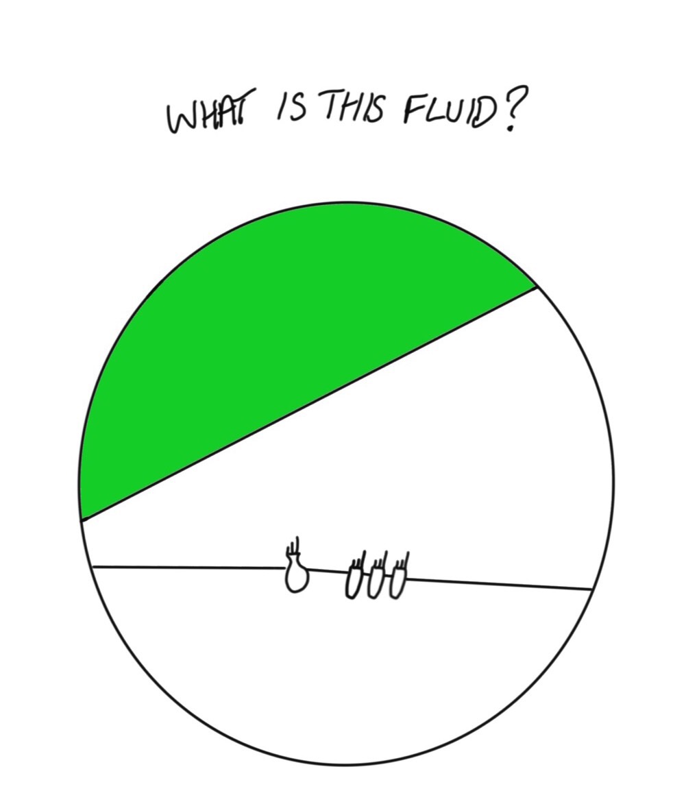 Anatomy And Physiology Flashcards Memorang