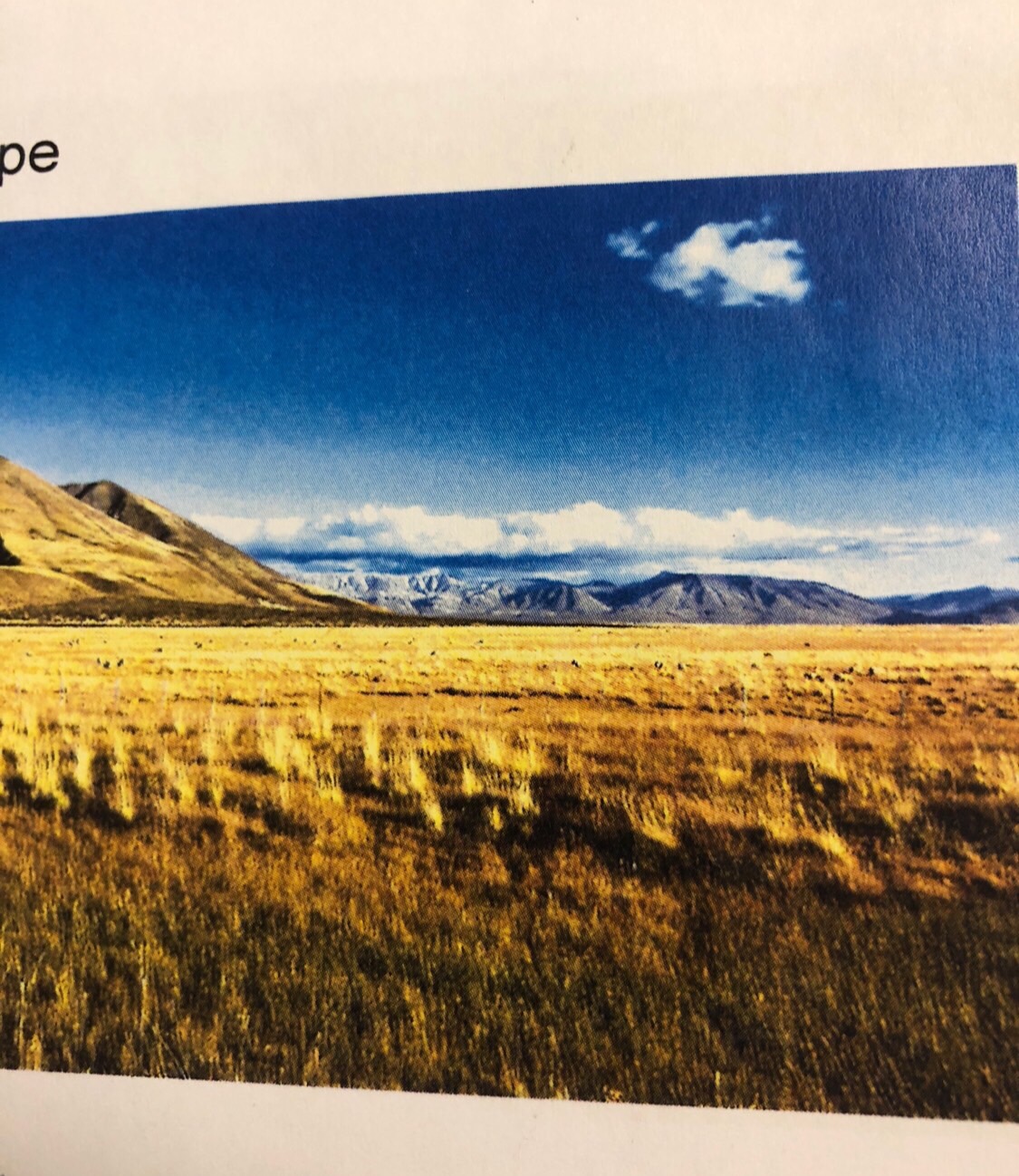 La Steppa Flashcards | Memorang